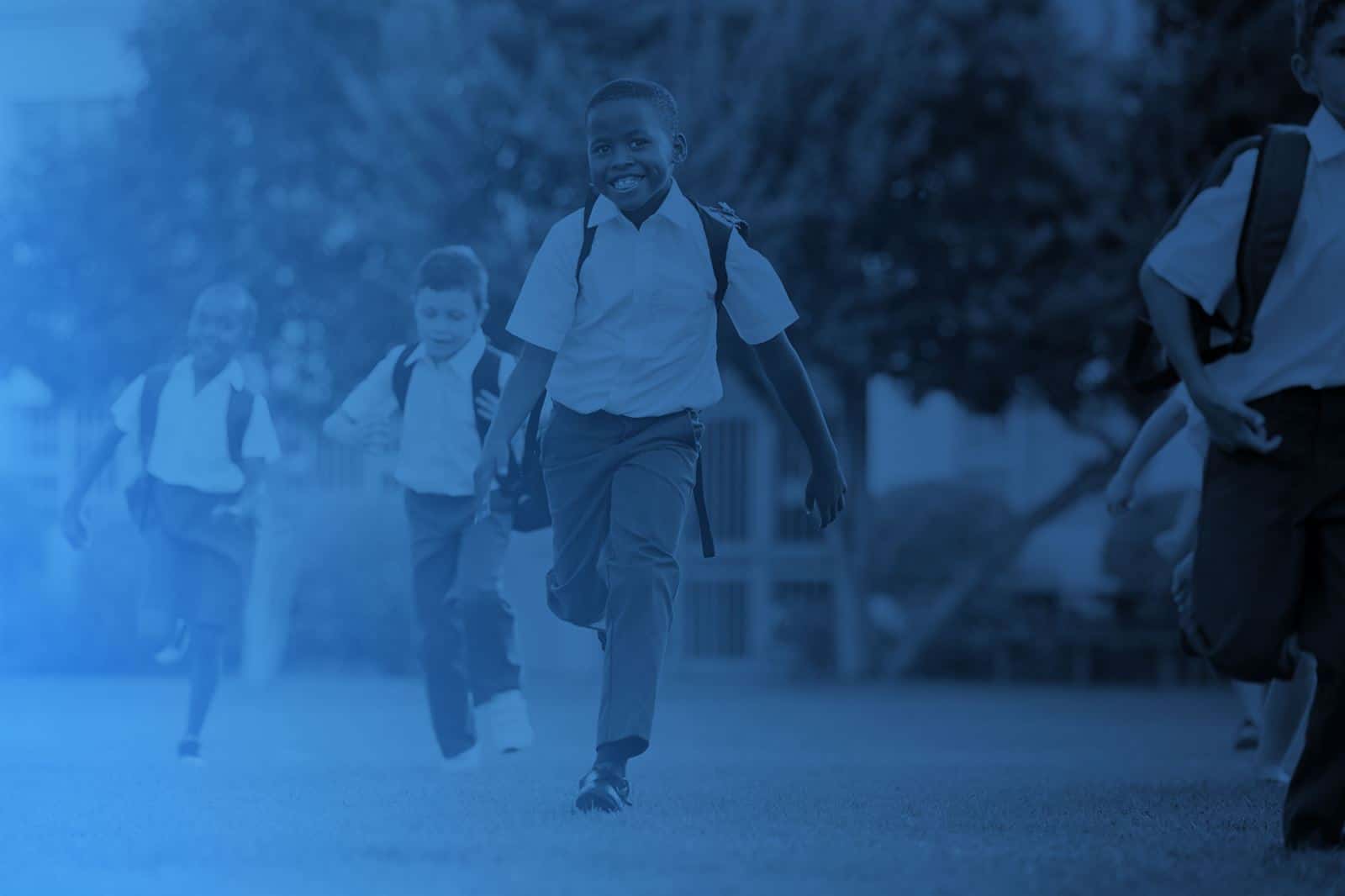 d6 | School Solutions